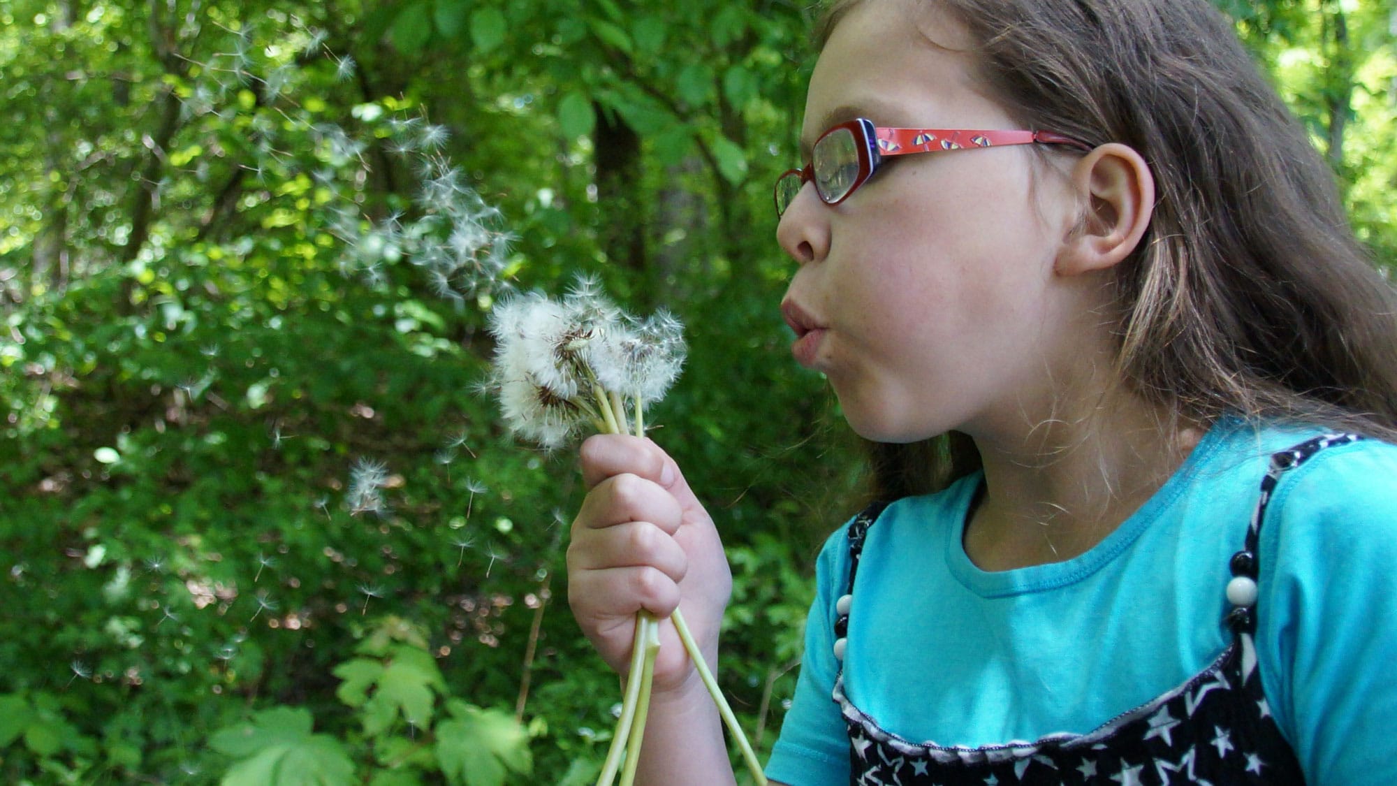 Tackling Behaviour Issues in an Orchid Child vs a Dandelion Child