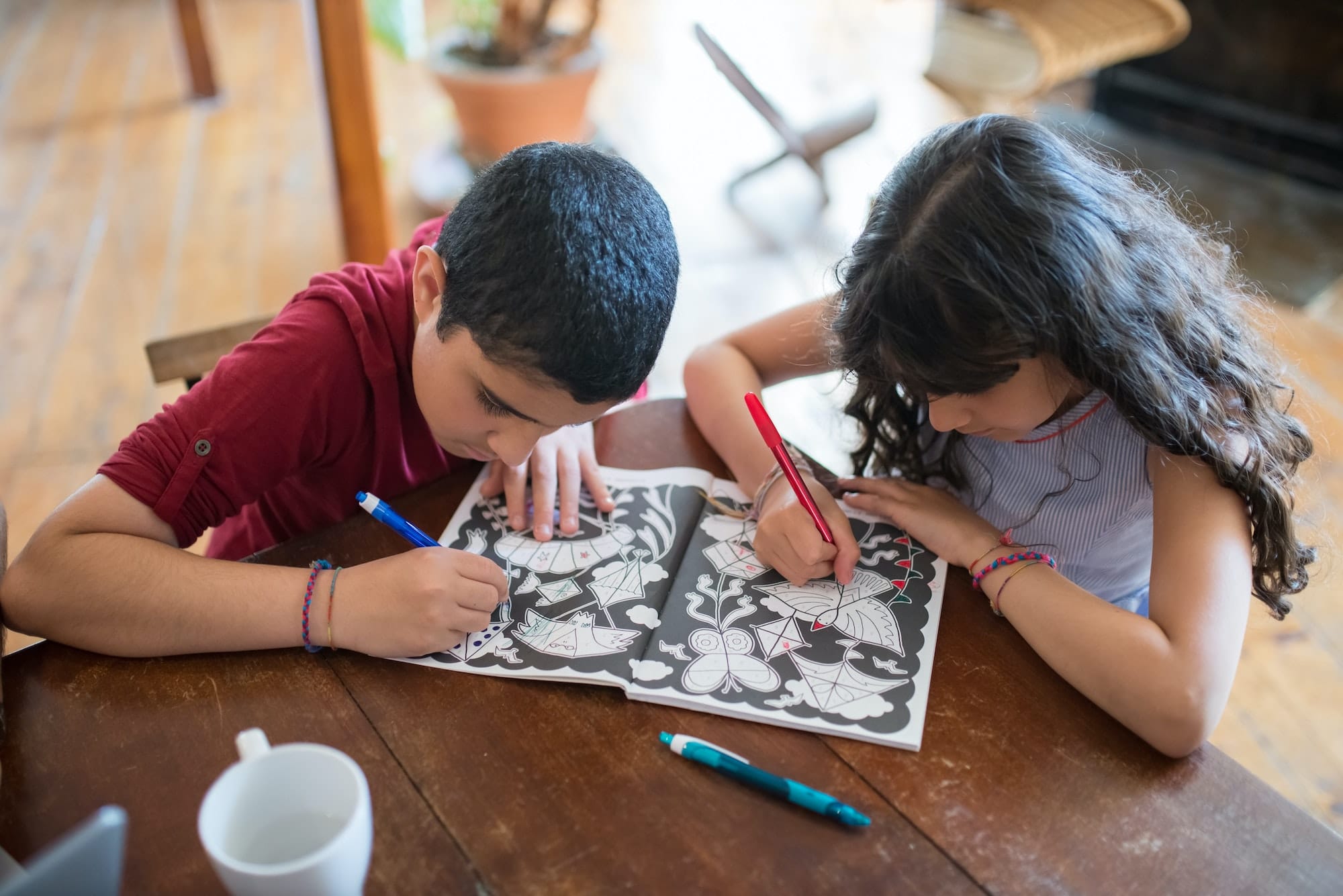 Typically Developing Twin and Empathy | Child And Family Blog